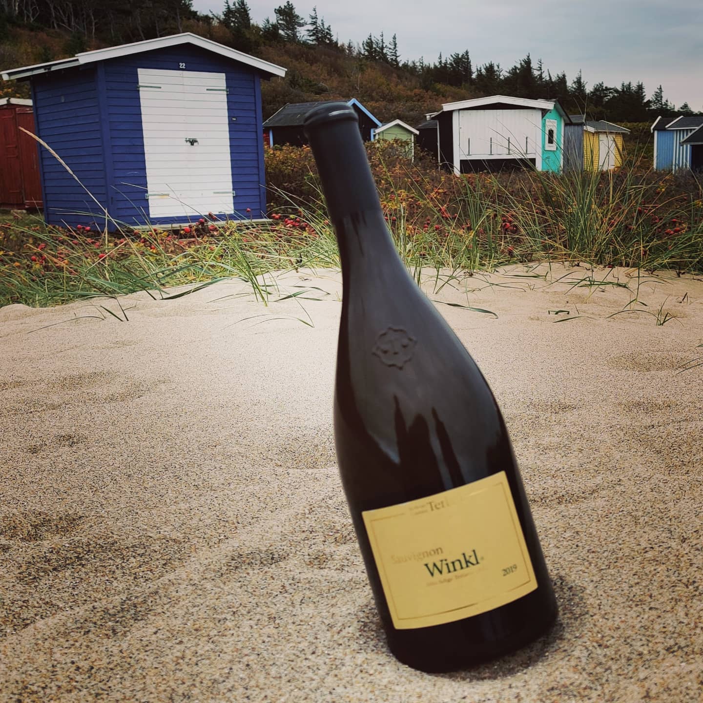 Sauvignon Winkl – Cantina Terlano – Südtirol - Weinfreund